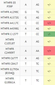 MTHFR-gene-mutations-example-list - MTHFR Gene health™