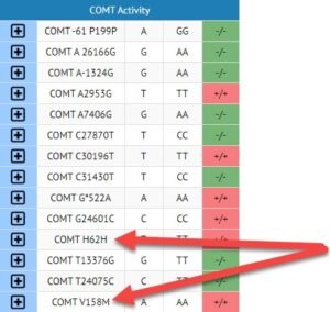 Do You Have COMT Gene Mutation, COMT Symptoms & Testing