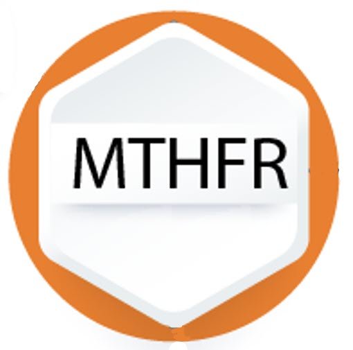 What is MTHFR? - MTHFR Gene health™